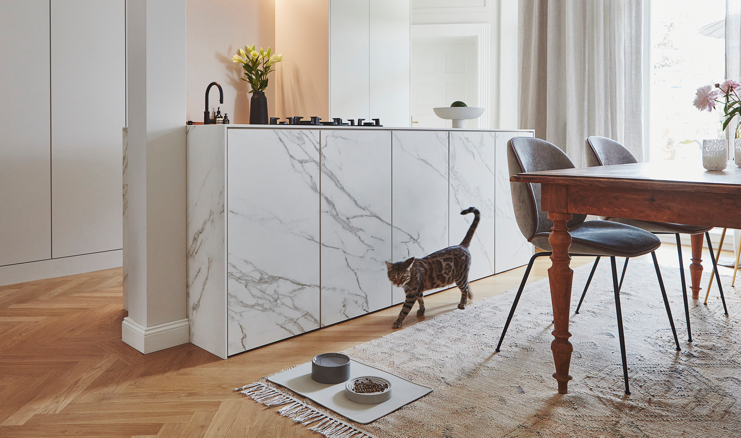 Design Products for Dogs and Cats | MiaCara