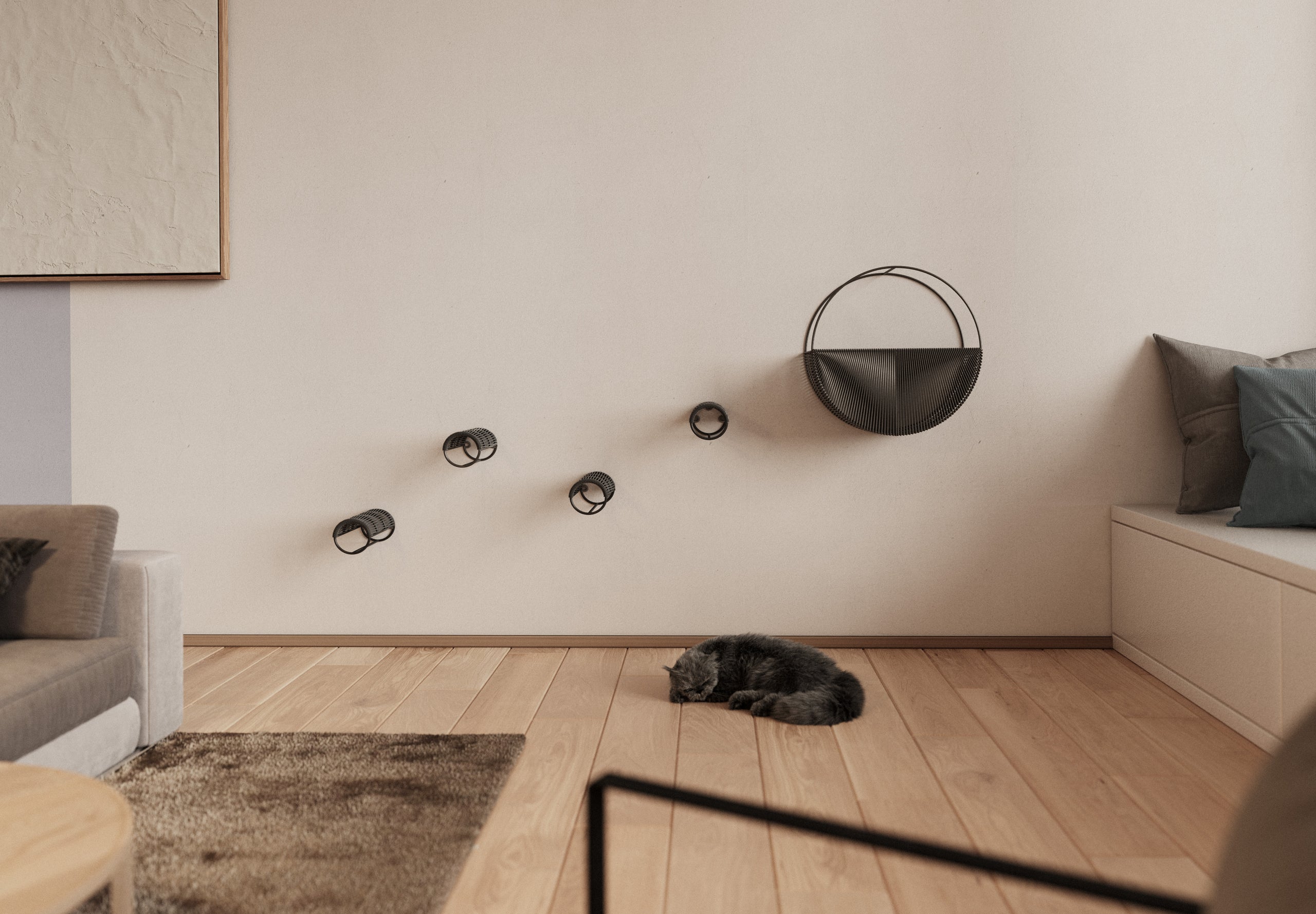 Design Products for Dogs and Cats | MiaCara