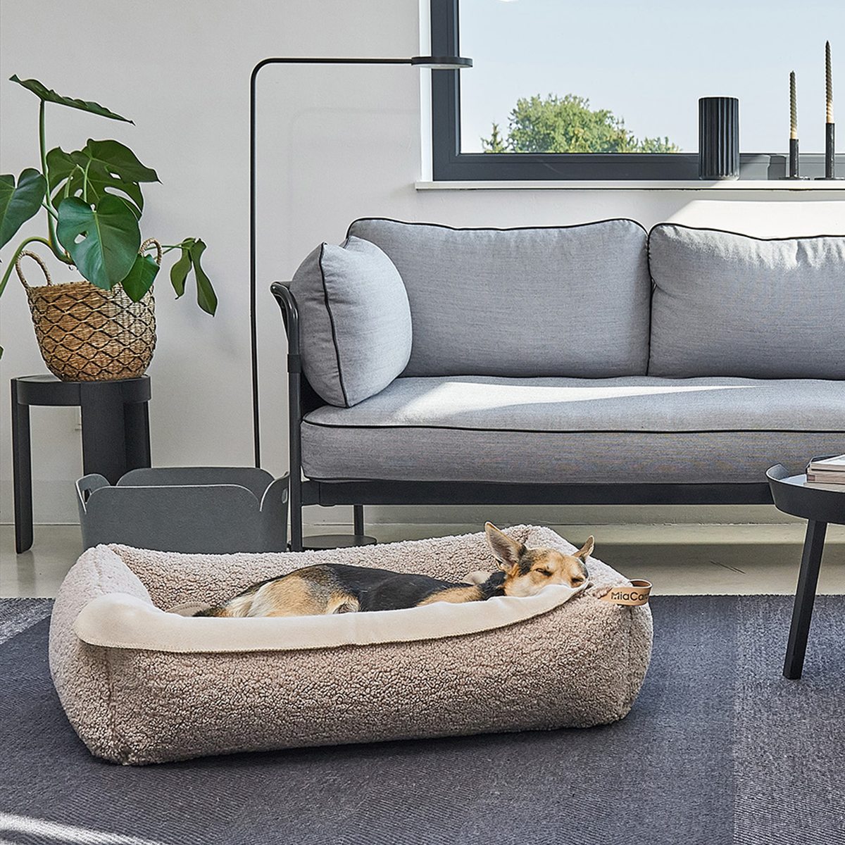 Elegantes Stiftung Warentest Hundebetten Bild