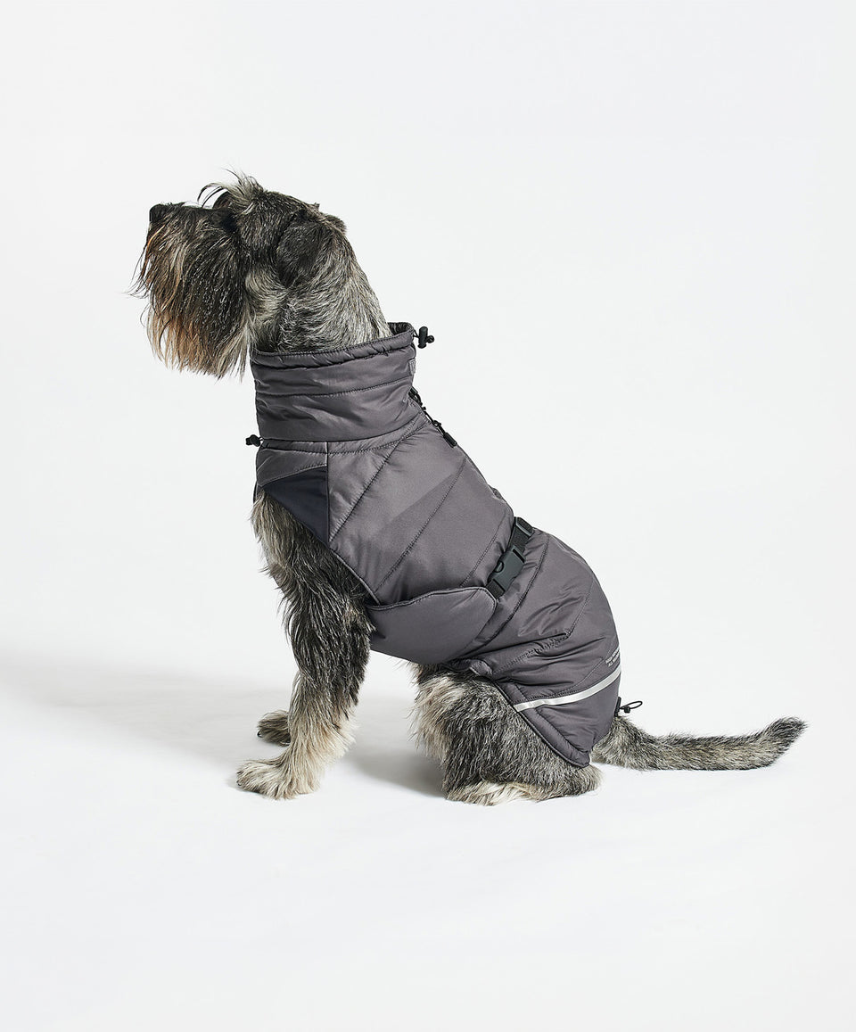 Design Products for Your Dog | MiaCara