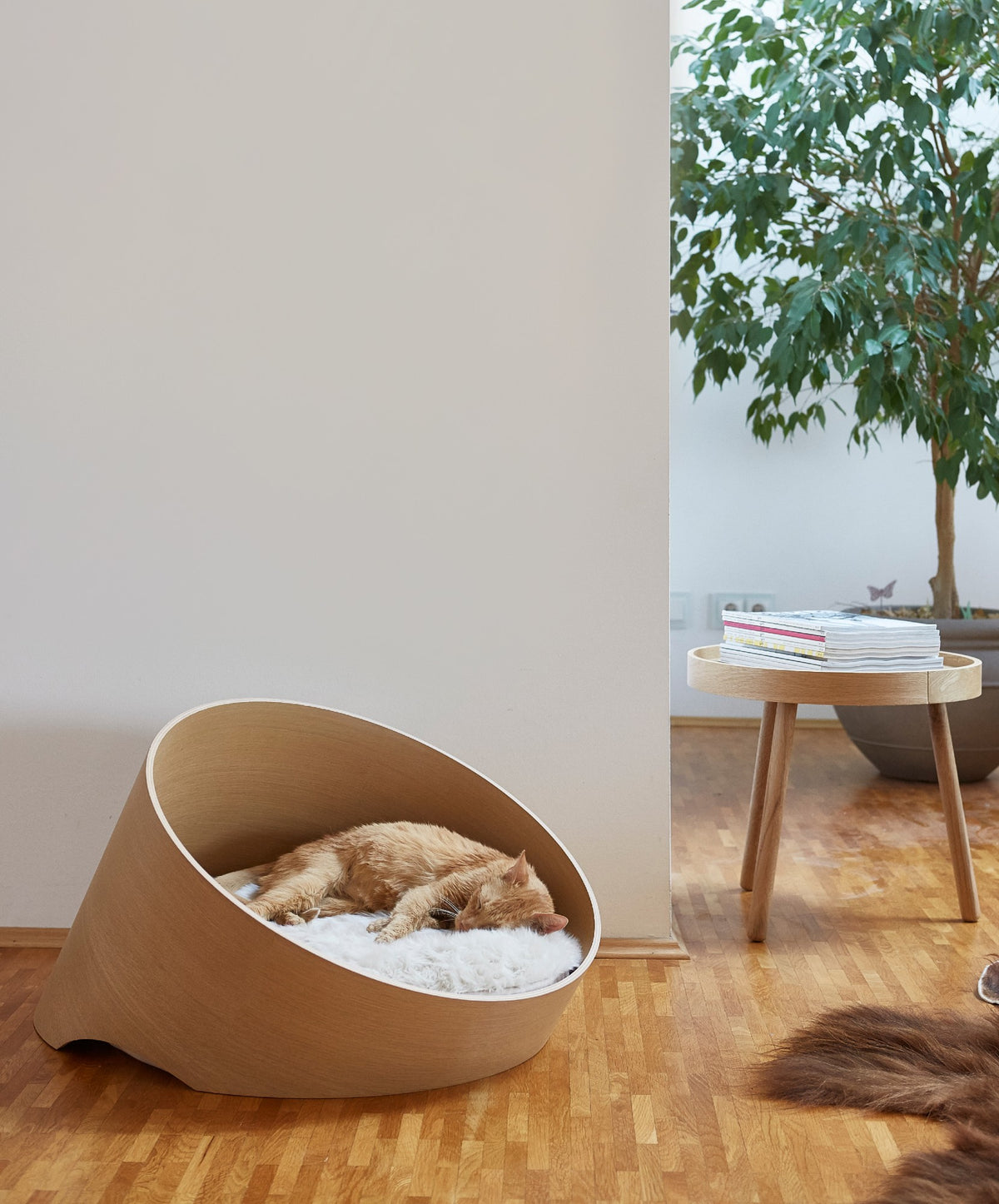 Beautiful Designer Cat Beds by MiaCara – Buy Online