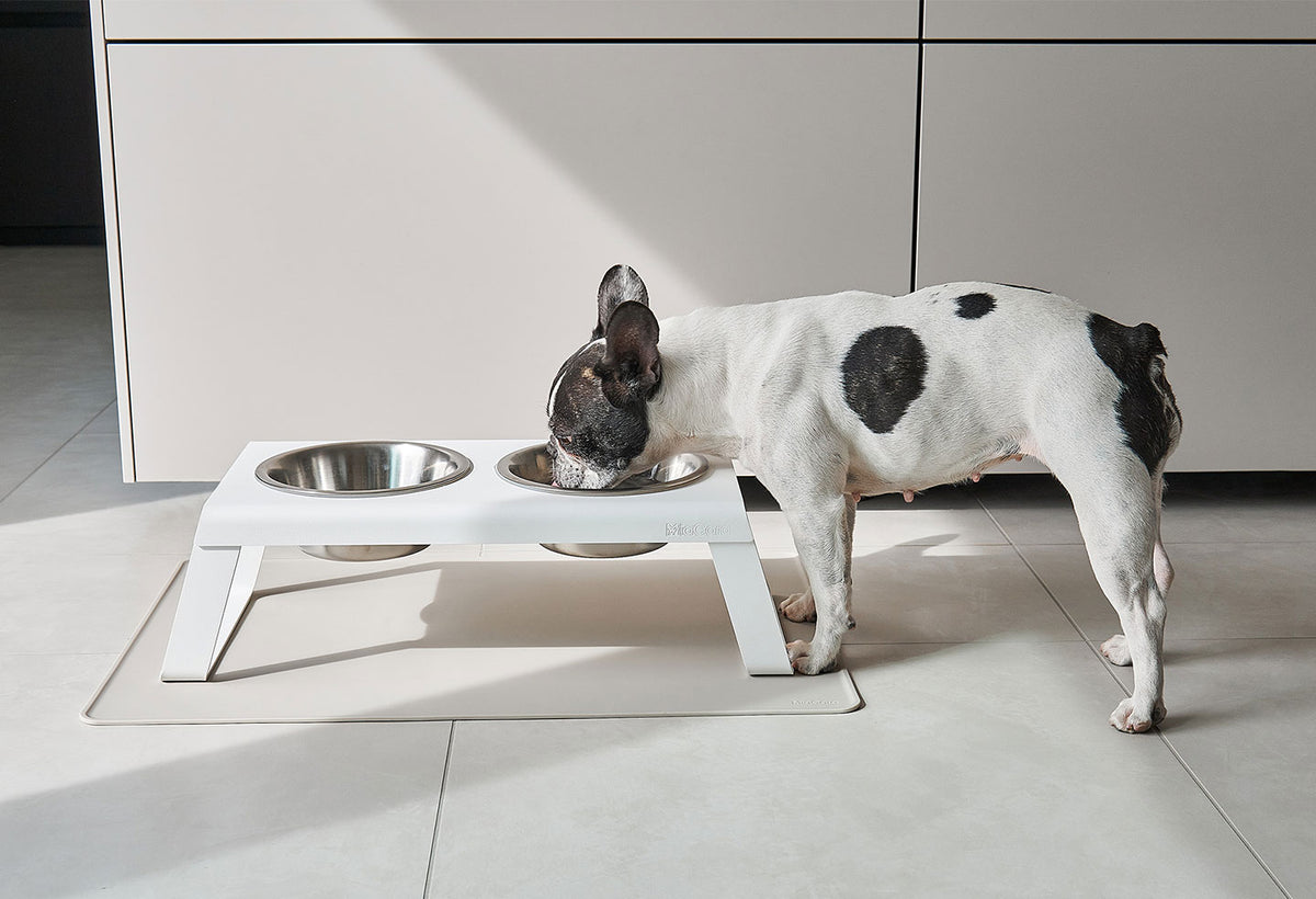 Discover Designer Products for Your Dog Online | MiaCara